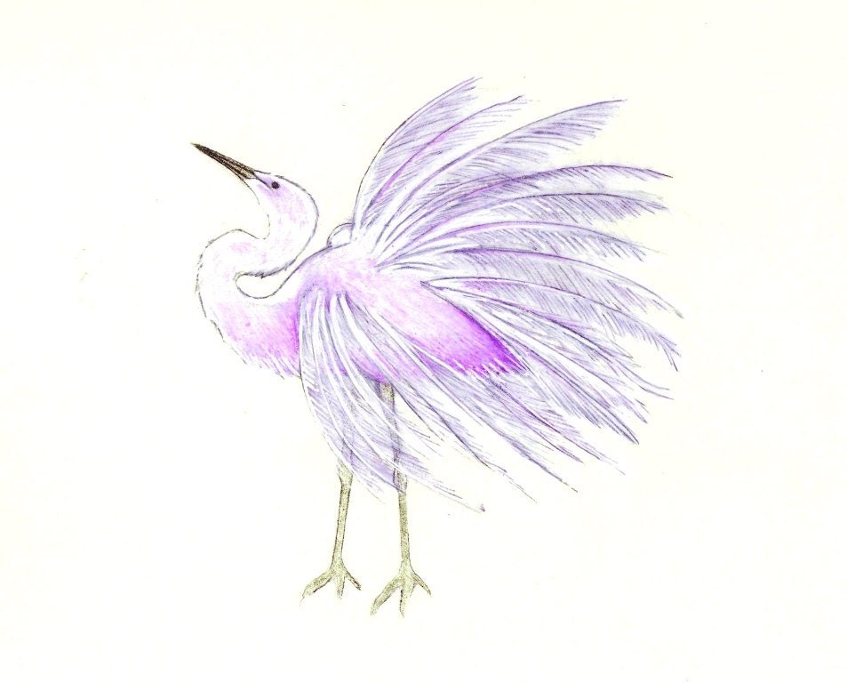 Purple Egret Art Print of a Drawing Available 5x7" or 8x10" - Etsy