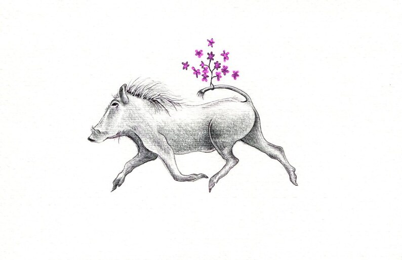 Warthog Art Print of an Original Drawing Available 5x7" or 8x10" - Etsy