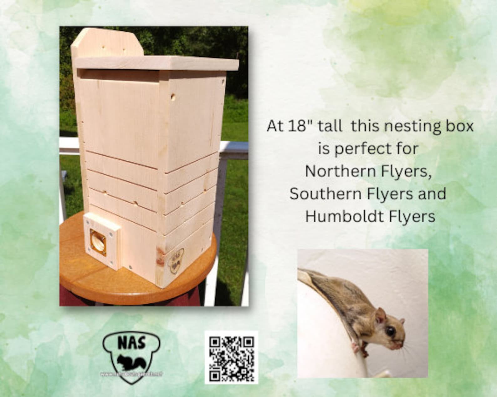 Flying Squirrel House, Northern Flying Squirrel House, Southern Flying ...
