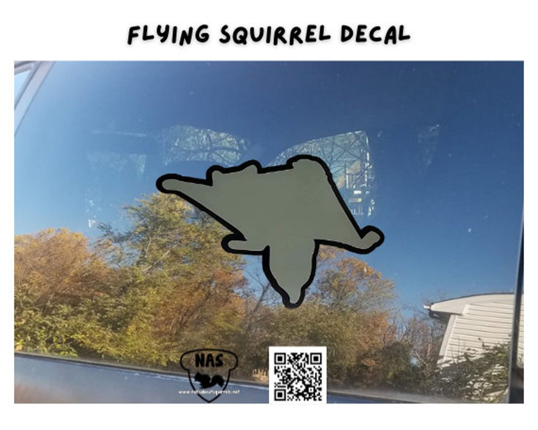 Flying Squirrel Vinyl Decal, Flying Squirrel Decal, Gift for Squirrel ...