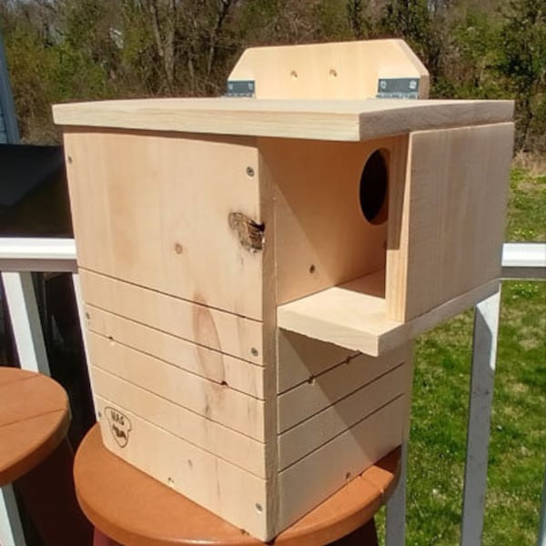 Squirrel House Kit - Etsy