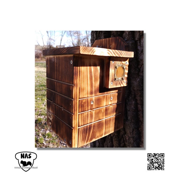 Squirrel Cage - Etsy