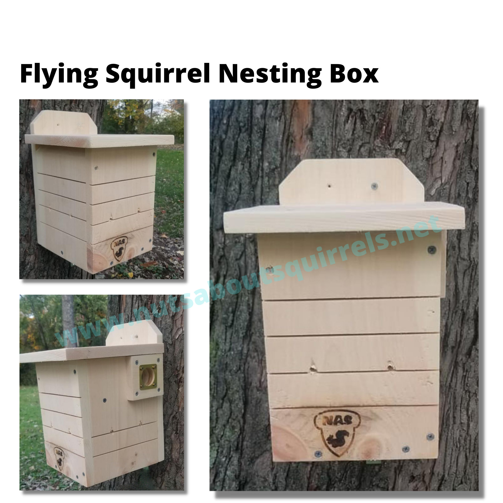 Southern Flying Squirrel Nest