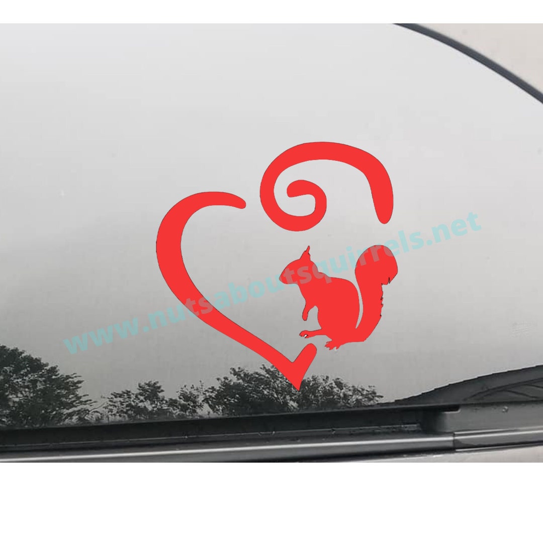 Squirrel Vinyl Decal, Squirrel Car Decal, Gift for Squirrel Lovers ...