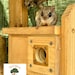 Flying Squirrel House, Northern Flying Squirrel House, Southern Flying ...