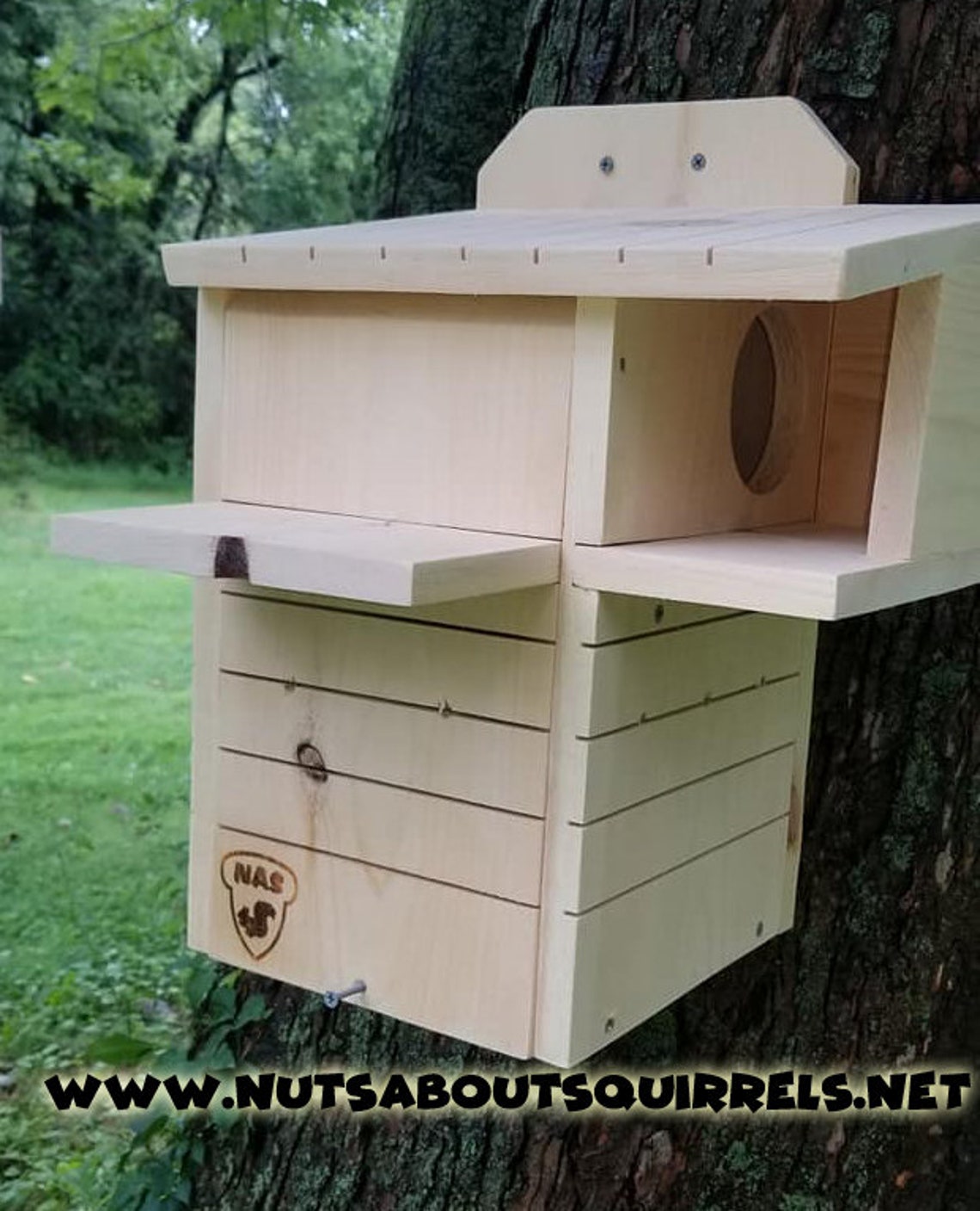 Eastern Grey Squirrel Nesting Box Etsy