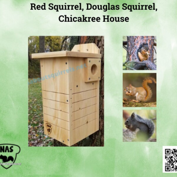 Nest Box - Etsy