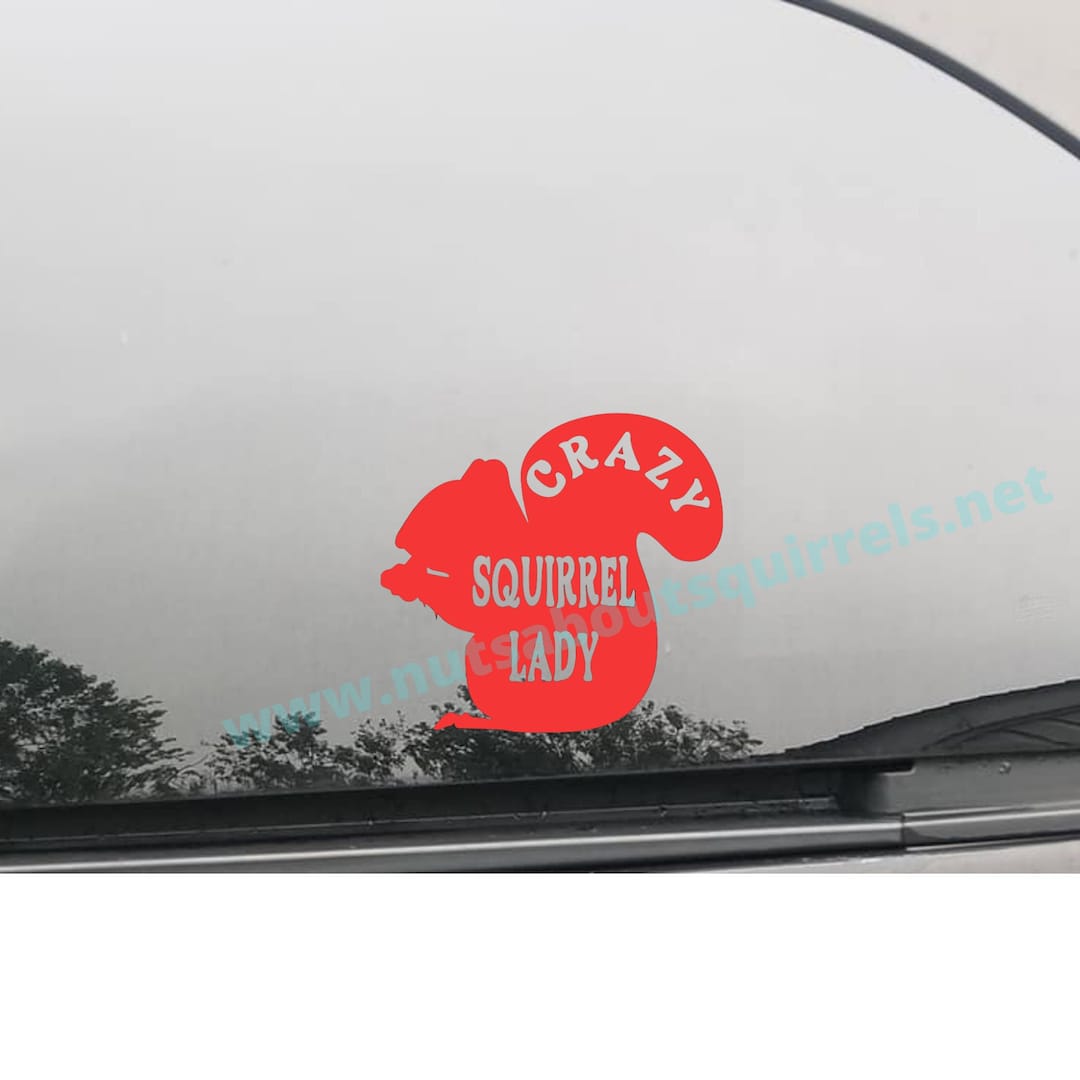 Squirrel Decal, Crazy Squirrel Lady Vinyl Decal for Laptops or Cars ...