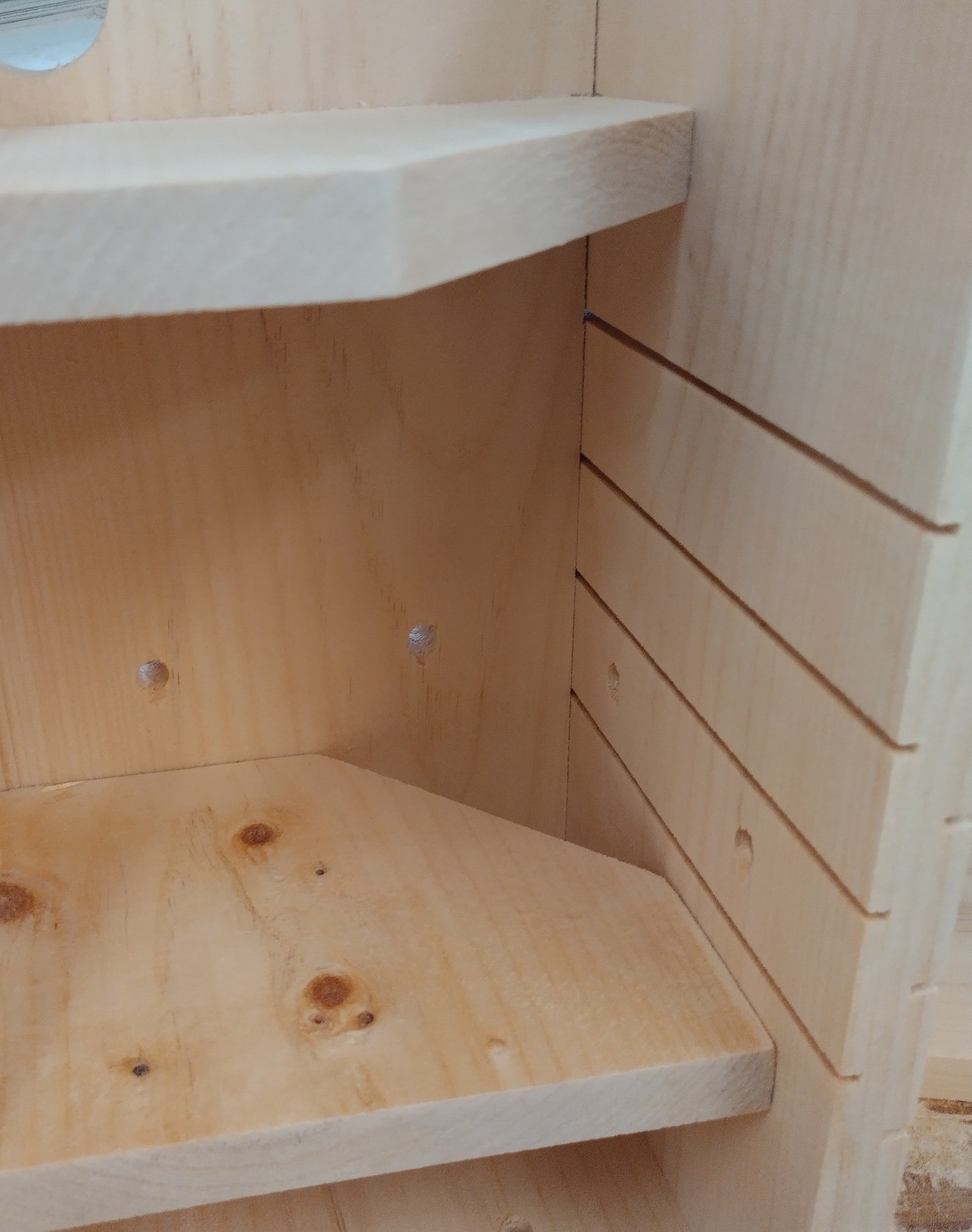 Flying Squirrel House, Northern Flying Squirrel House, Southern Flying ...