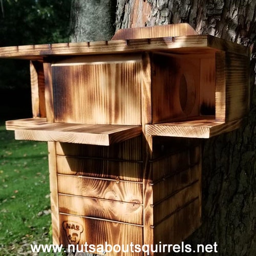 Wildlife Rehab Approved Squirrel Nesting Box With Scorched Etsy
