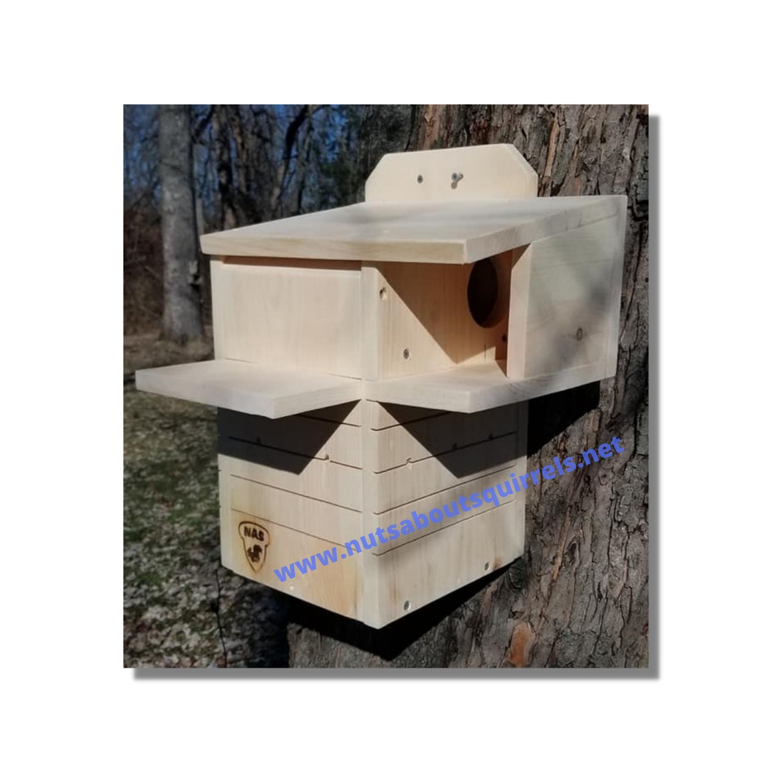 Squirrel Nesting Box Made By Nuts About Squirrels Wildlife Etsy
