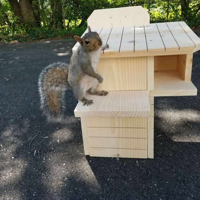 Squirrel Nesting Box Made To Order Etsy
