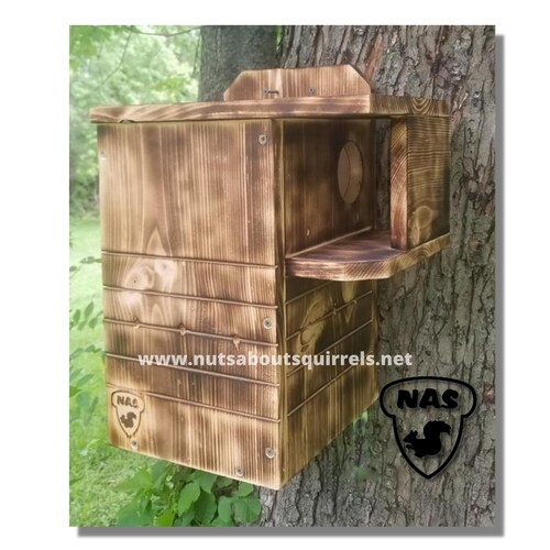 Gray Squirrel Nesting Box Made By Nuts About Squirrels Etsy