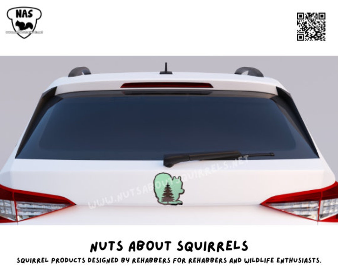 Squirrel Silhouette Decal, Vinyl Squirrel Decal, Squirrel Car Decal ...