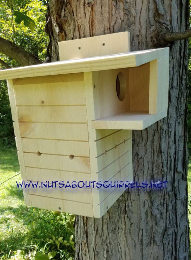 Squirrel Nesting Box Made To Order Etsy