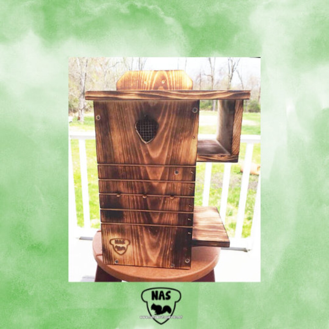 Squirrel House W/ Acorn Window, Gray Squirrel Nest Box,fox Squirrel ...
