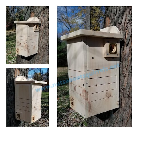 Southern Flying Squirrel Nesting Box Handmade by Nuts About - Etsy