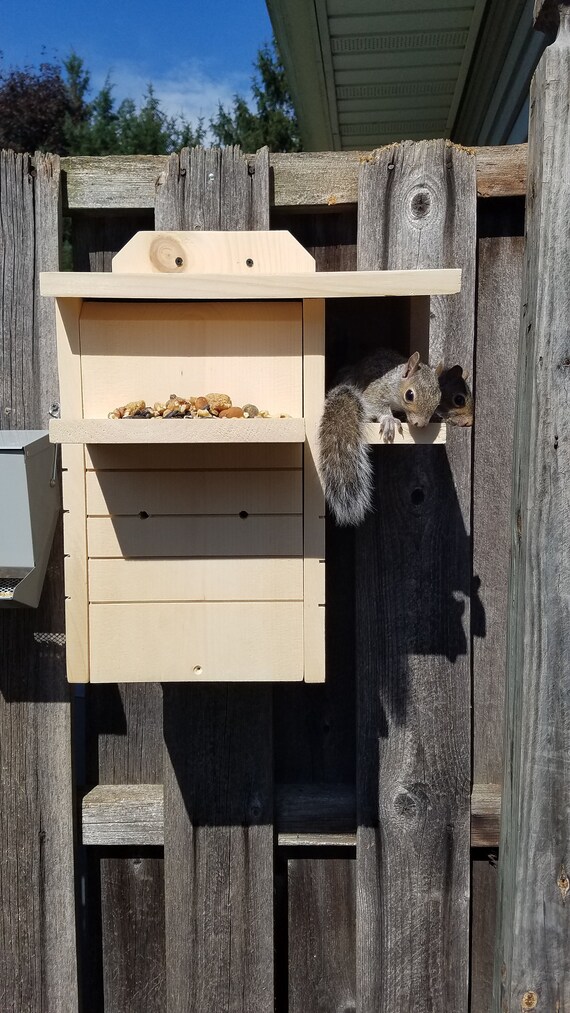 Squirrel Nesting Box Made To Order Etsy