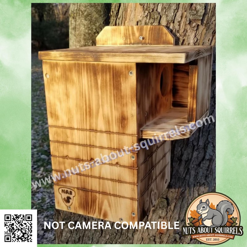 NutsAboutSkwerls - Etsy