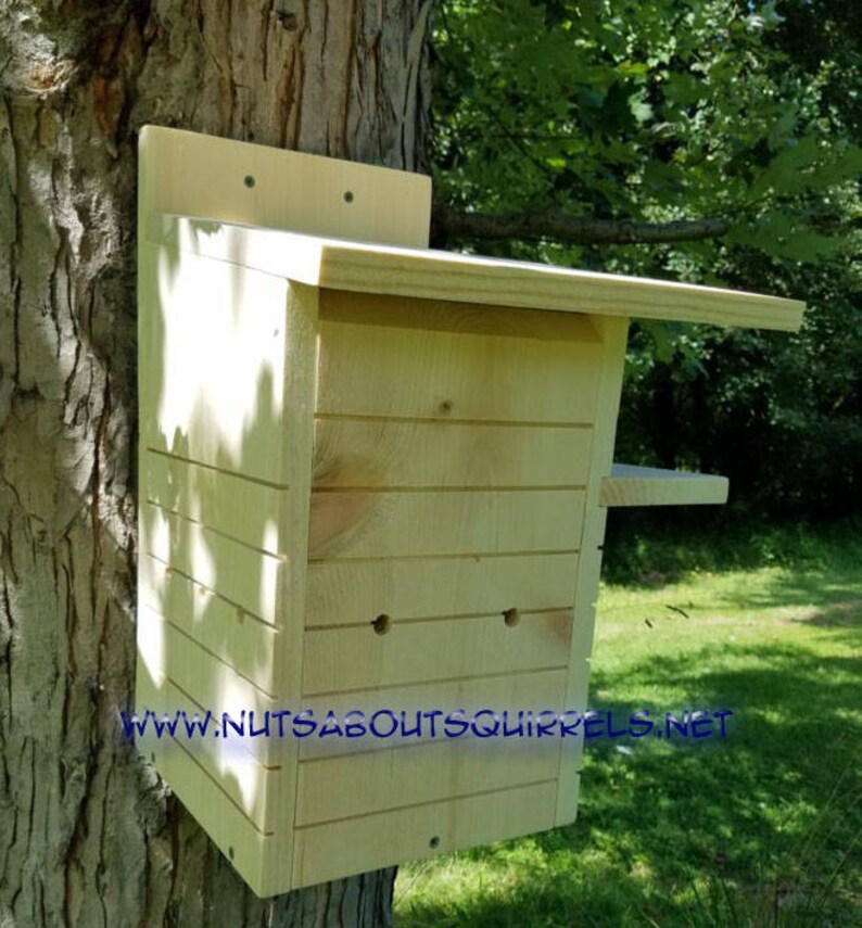 Squirrel Nesting Box Made To Order Etsy