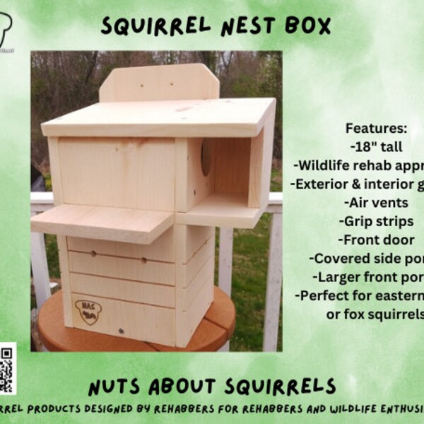 Squirrel House - Etsy