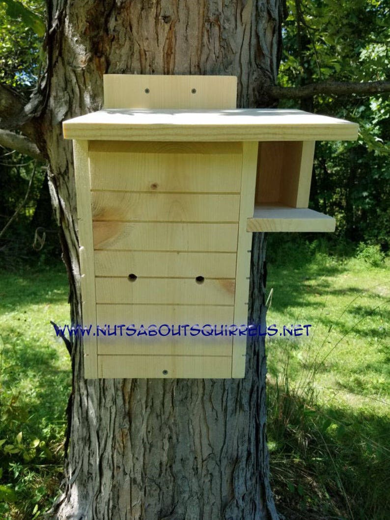 Squirrel Nesting Box Made To Order Etsy