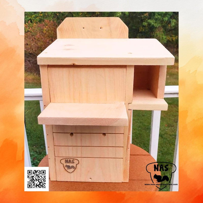 Squirrel House With Camera - Etsy