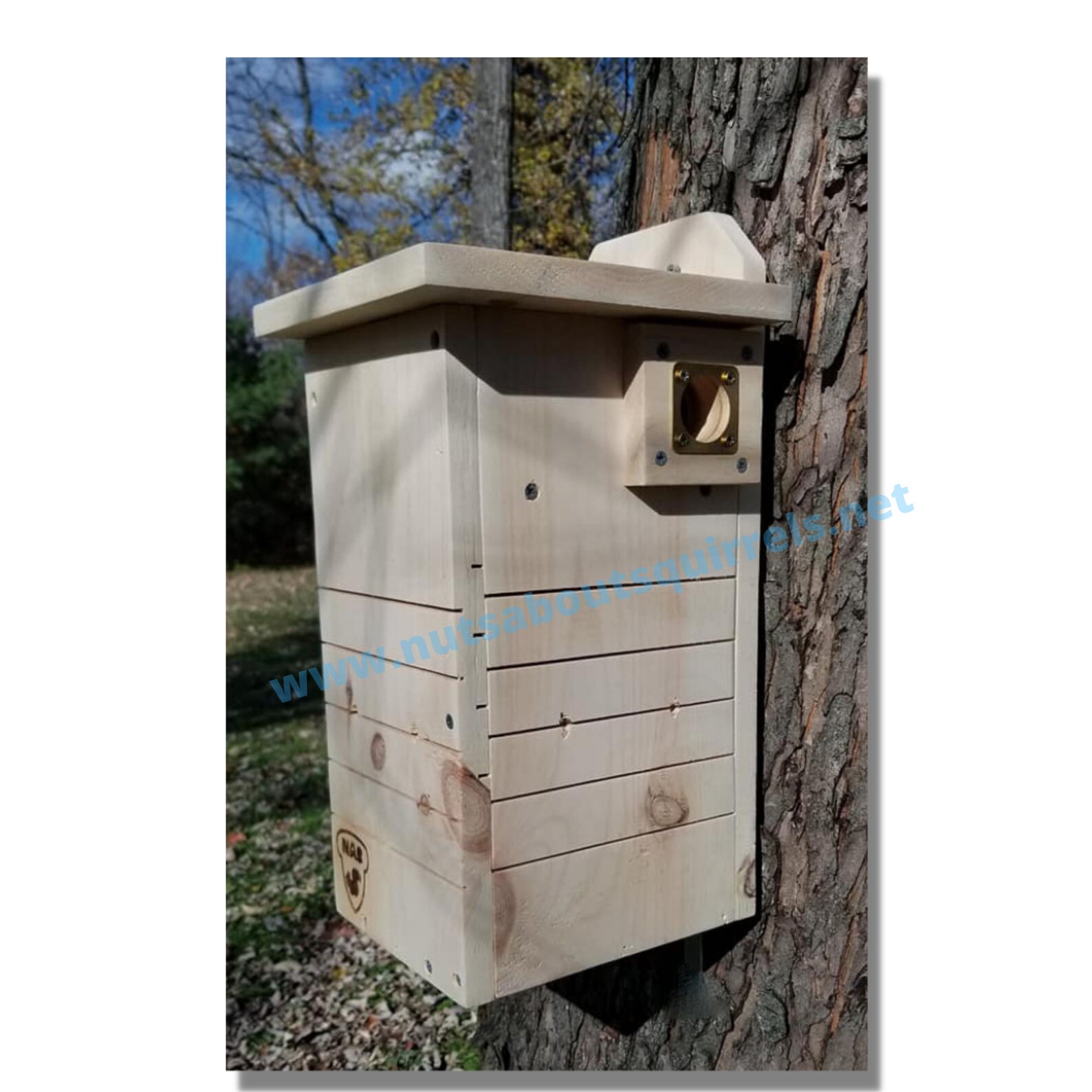 Flying Squirrel House, Northern Flying Squirrel House, Southern Flying ...