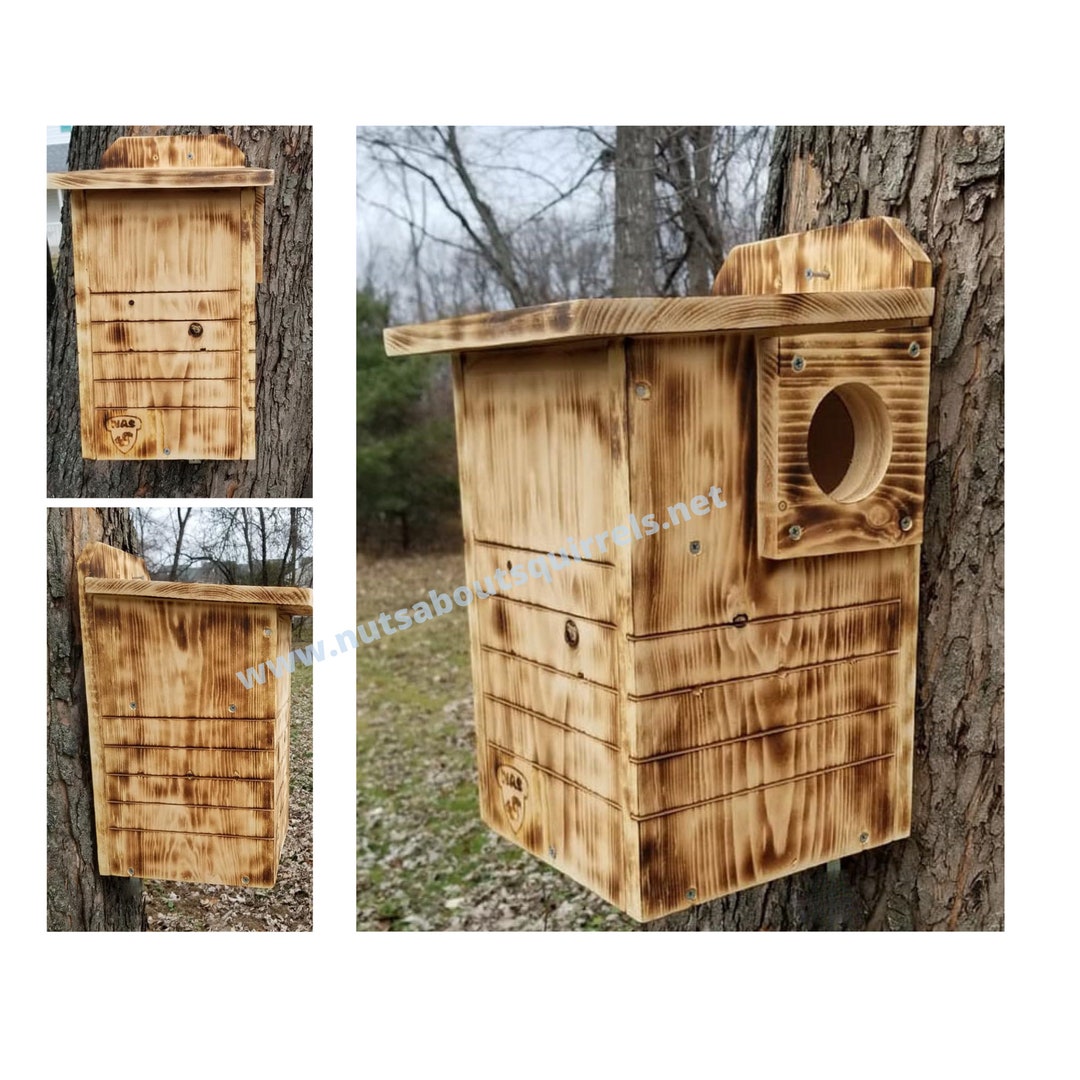 Squirrel House Wildlife Rehab Approved Eastern Gray Squirrel Nest Box