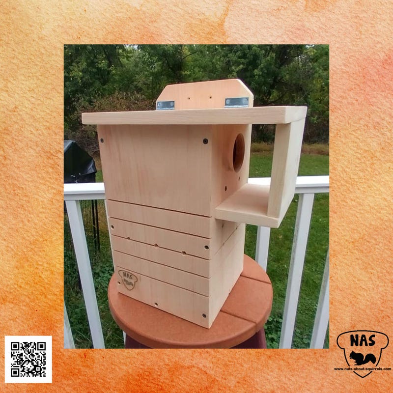 Squirrel Houses Diy Plans - Etsy