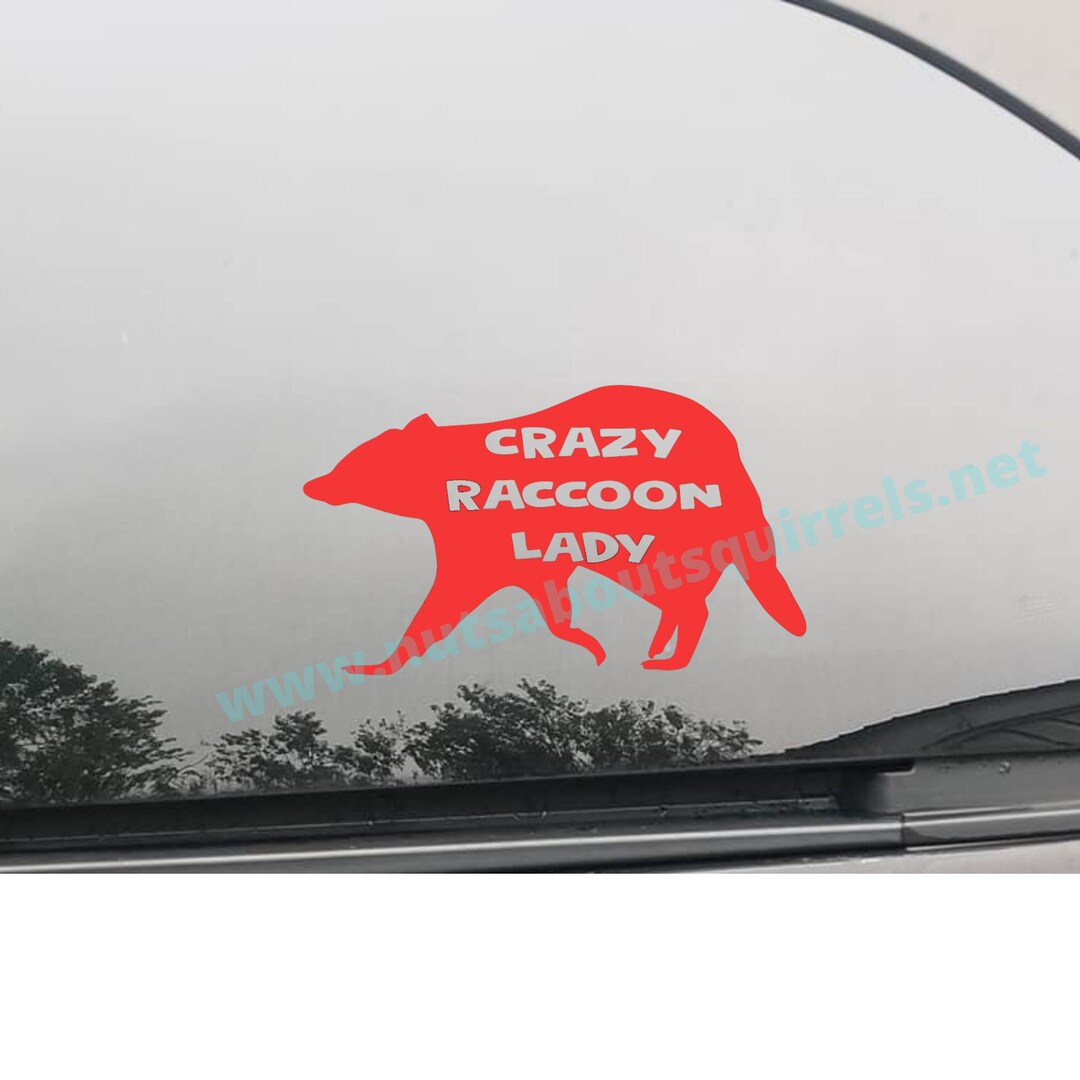 Crazy Raccoon Lady Vinyl Decal, Raccoon Car Decal, Gift for Raccoon ...