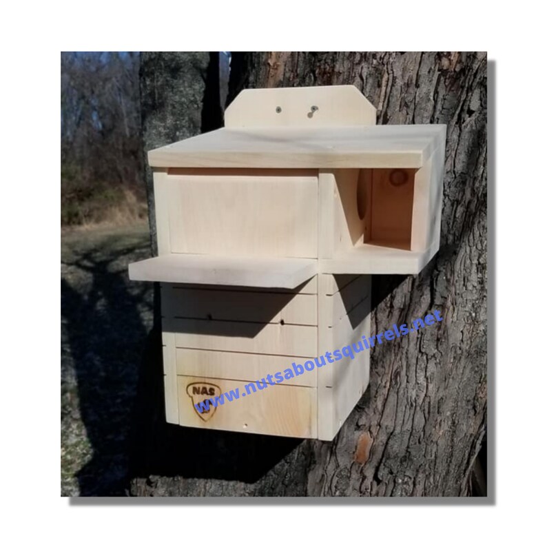 Squirrel Nesting Box Made By Nuts About Squirrels Wildlife Etsy