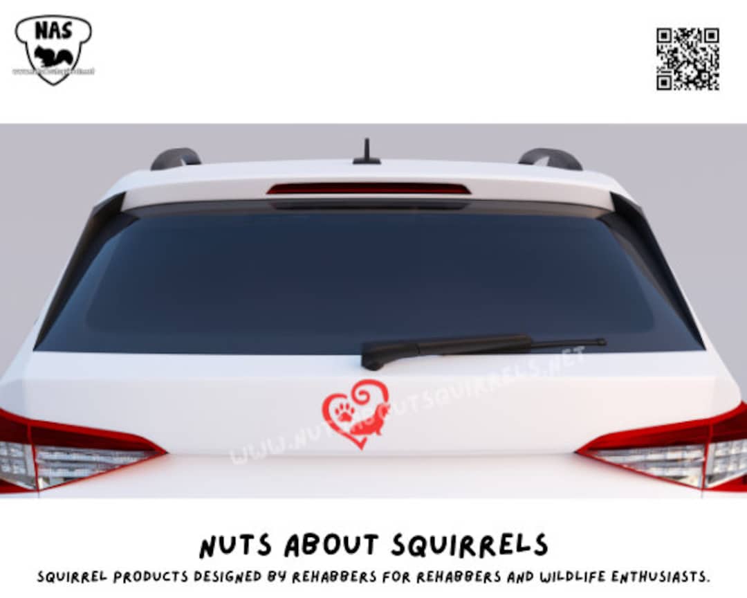 Vinyl Basset Hound Decal, Basset Hound Car Decal, Gift for Basset Hound ...