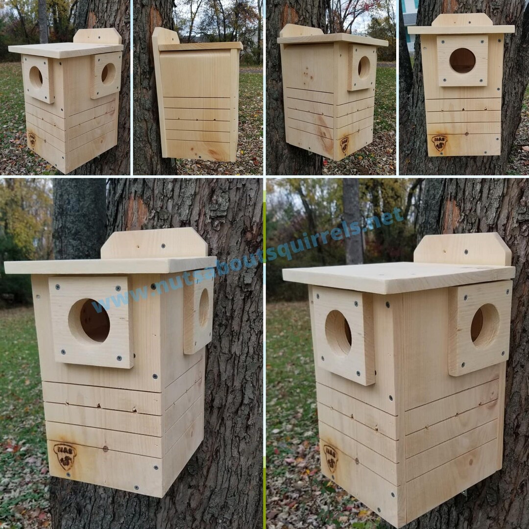 Squirrel House, Squirrel Nesting Box, Two Entrances, Wildlife Rehab ... Squirrel House, Squirrel Nesting Box, Two Entrances, Wildlife Rehab ...