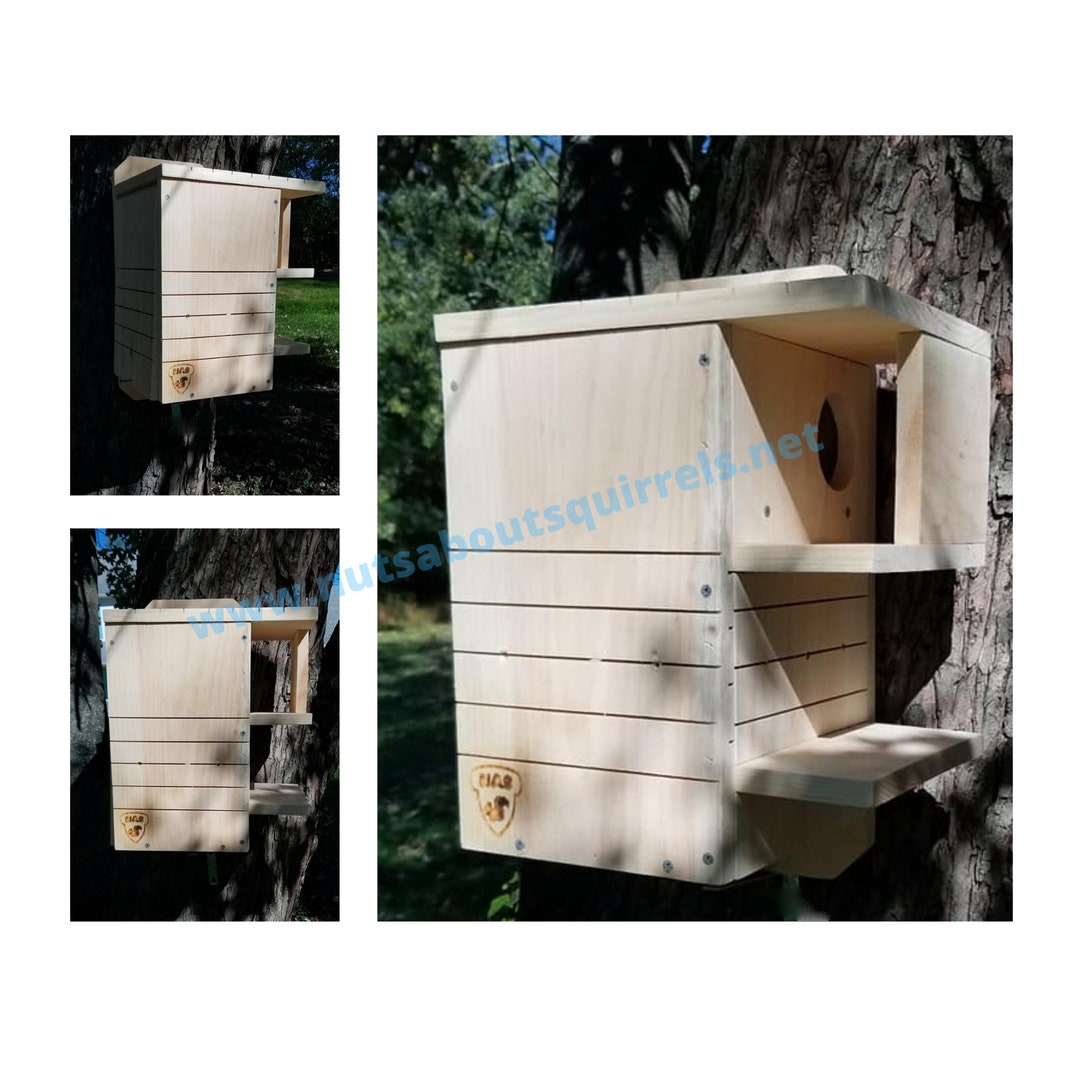 Squirrel Nest Box -wildlife Rehab Approved-predator Resistant Squirrel ...