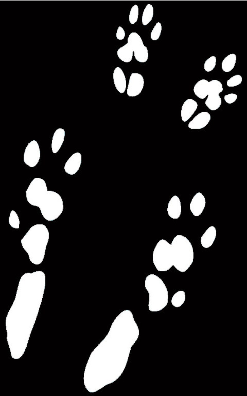 Chinchilla Paw Print Decals | Etsy