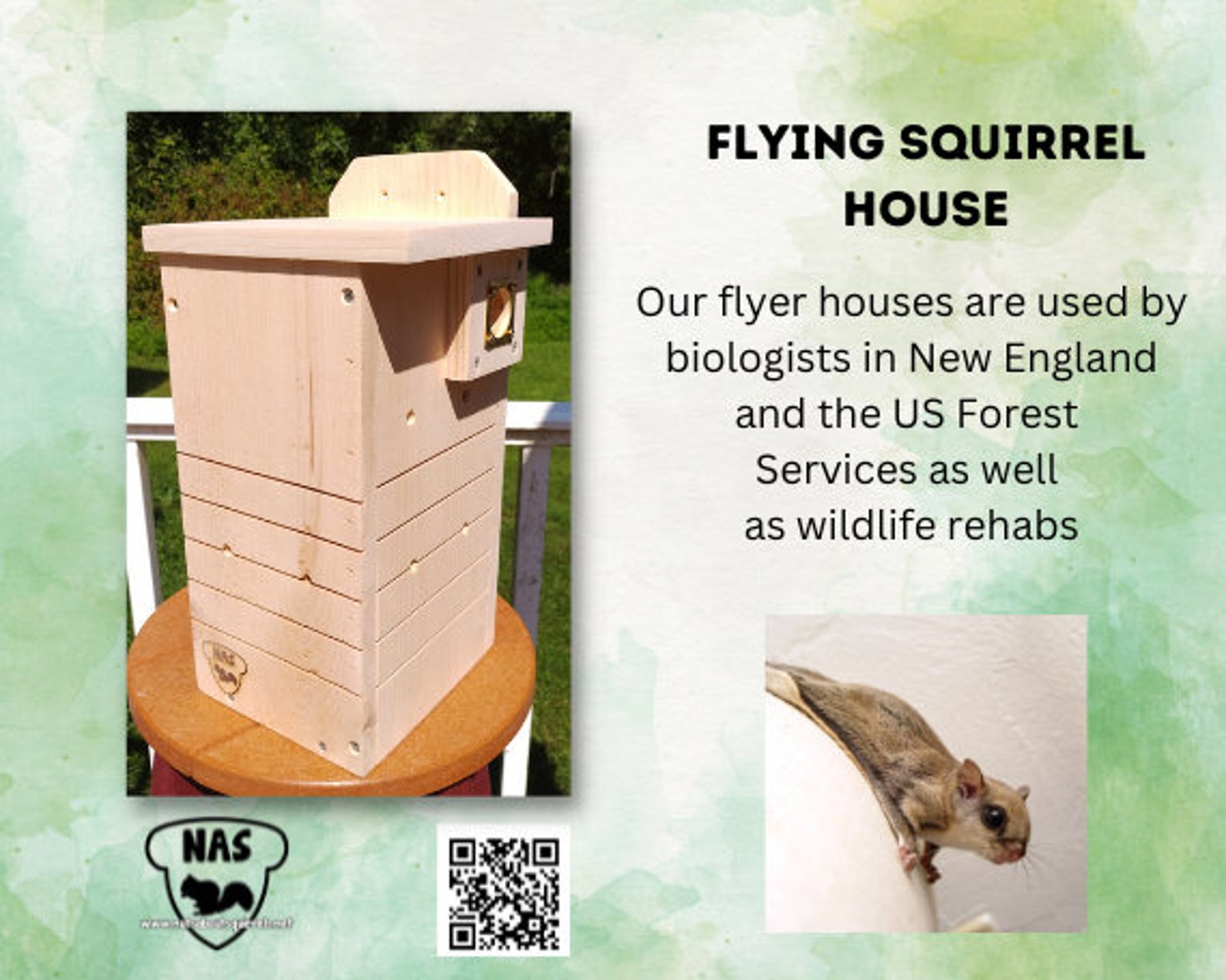 Flying Squirrel House, Northern Flying Squirrel House, Southern Flying ...