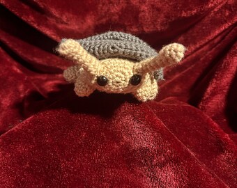 To Custom Order Roly Poly Pill Bug Crochet Isopod Plush - Etsy