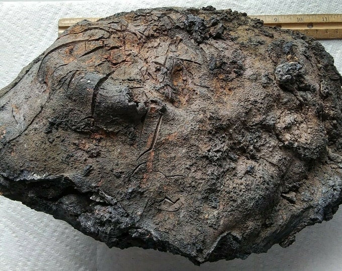Black volcanic bomb-museum Basaltic Rock volcanic Impact Mark 60-20 MYA ...