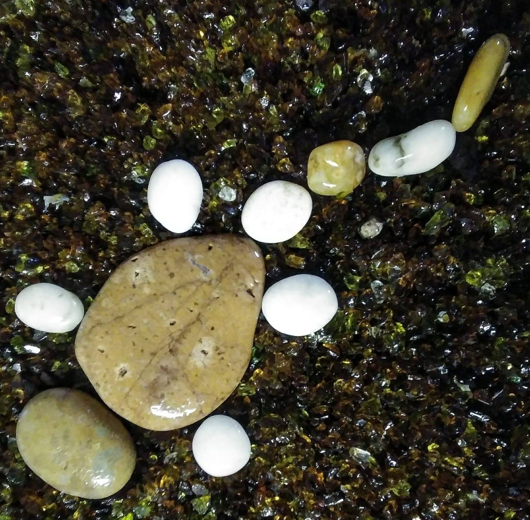 Aquarium Rock Axolotls Tumbled Beach Pebbles #AXO - Etsy