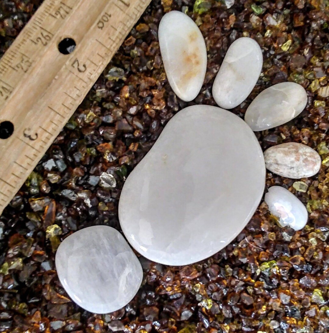 Aquarium Rock Footprint in the Sand Beach Pebbles #footprint #bigfoot ...