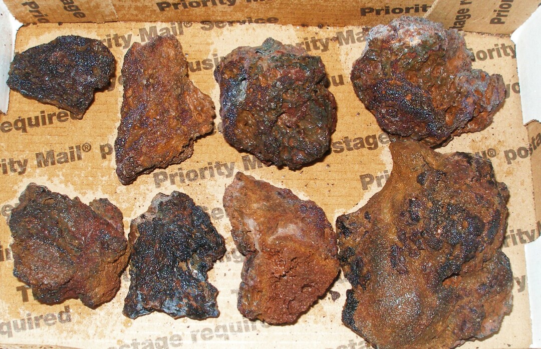 Small Lava Moss Rocks 100% Natural Porous Plant Friendly 12 Stones Rare ...