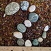 Aquarium Pebble Snake Pacific Beach Pebbles #multi2 - Etsy