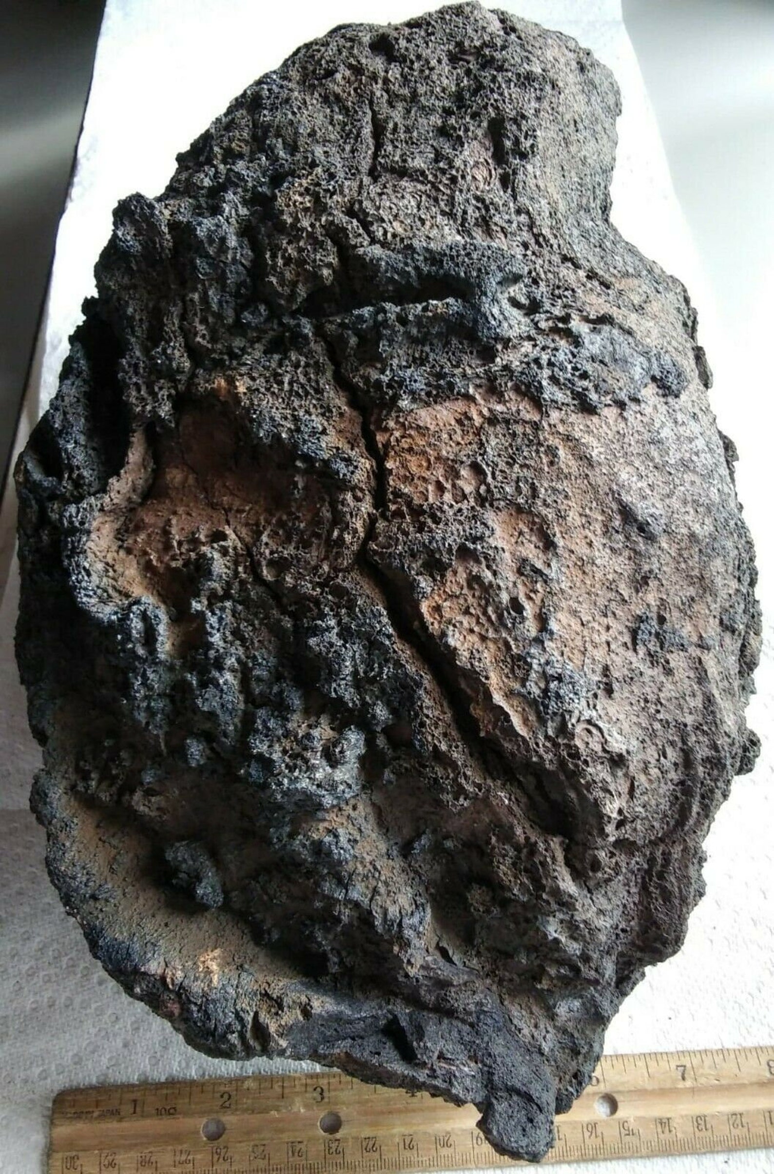 Black Volcanic-bomb-museum-basaltic-rock-volcanic Impact Mark - Etsy
