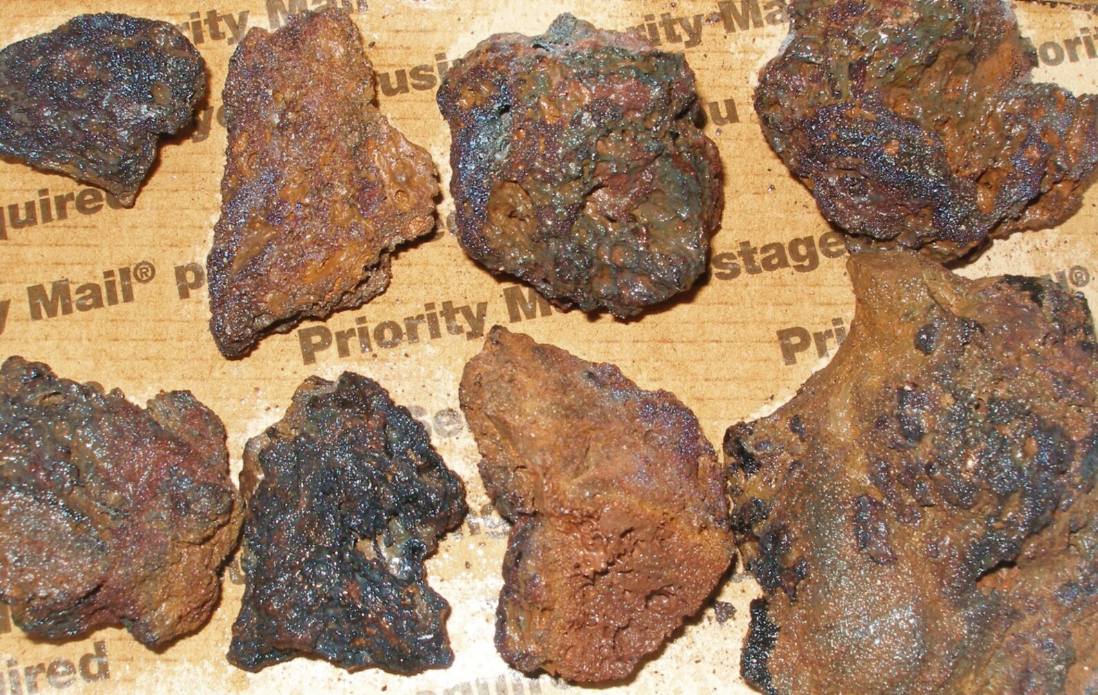 Small Lava Moss Rocks 100% Natural Porous Plant Friendly 12 - Etsy