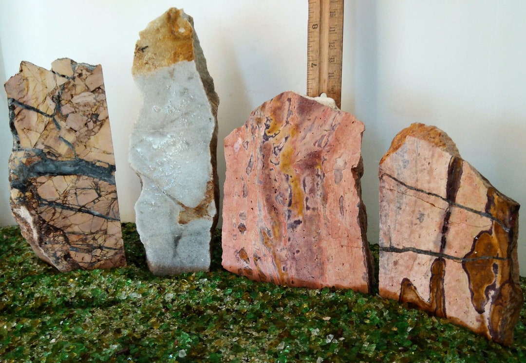 2 Spawning Pillars Cones Breeding Pillar 100% Natural Exotic Rare Color ...