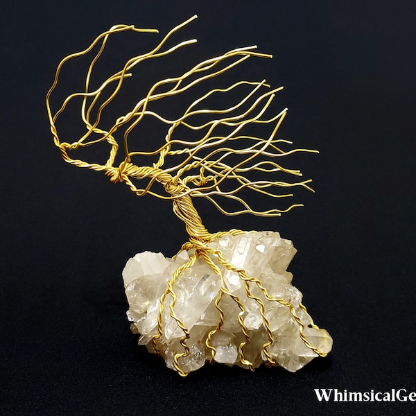 Windswept Tree - Etsy