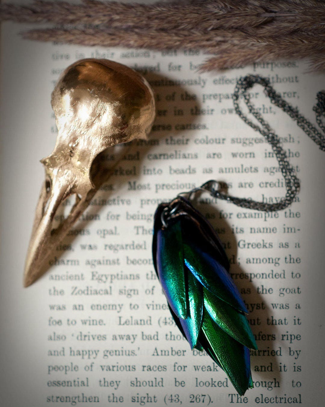 Beetle Wing Necklace Elytra From the Jewel Beetle Iridescent - Etsy