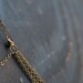 Cascade Body Chain, Body Jewellery, Fine Link Antique Brass Chain ...