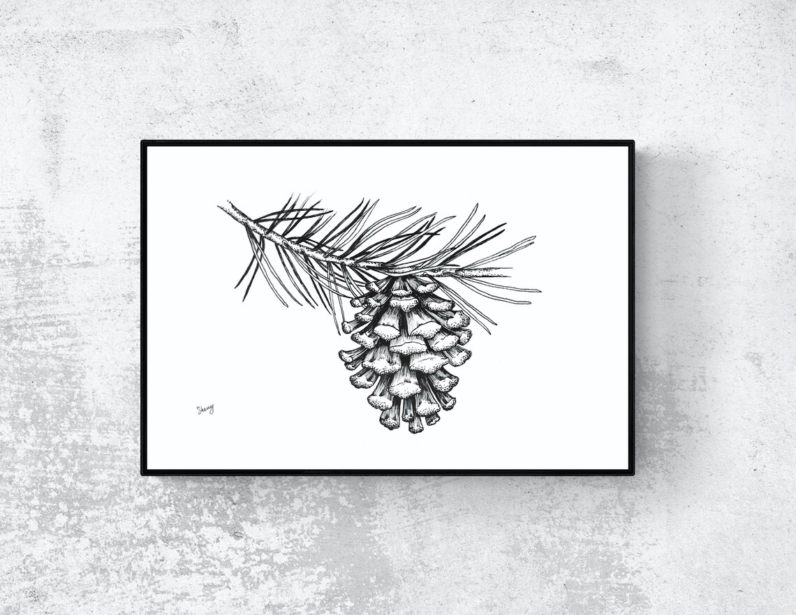 Ink Drawing • Botanical • Pine • Printable Art • Digital File • Wall ...